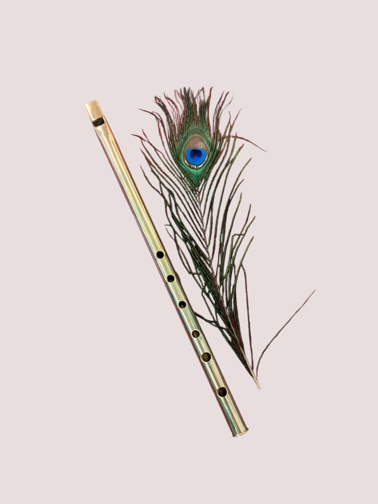 Single Peacock Feathers With Flute